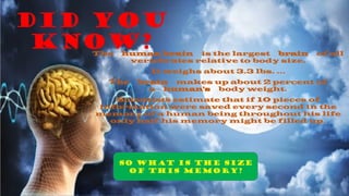 mind-in-islam_rehana.pptxclasss 10 islamic | PPTX
