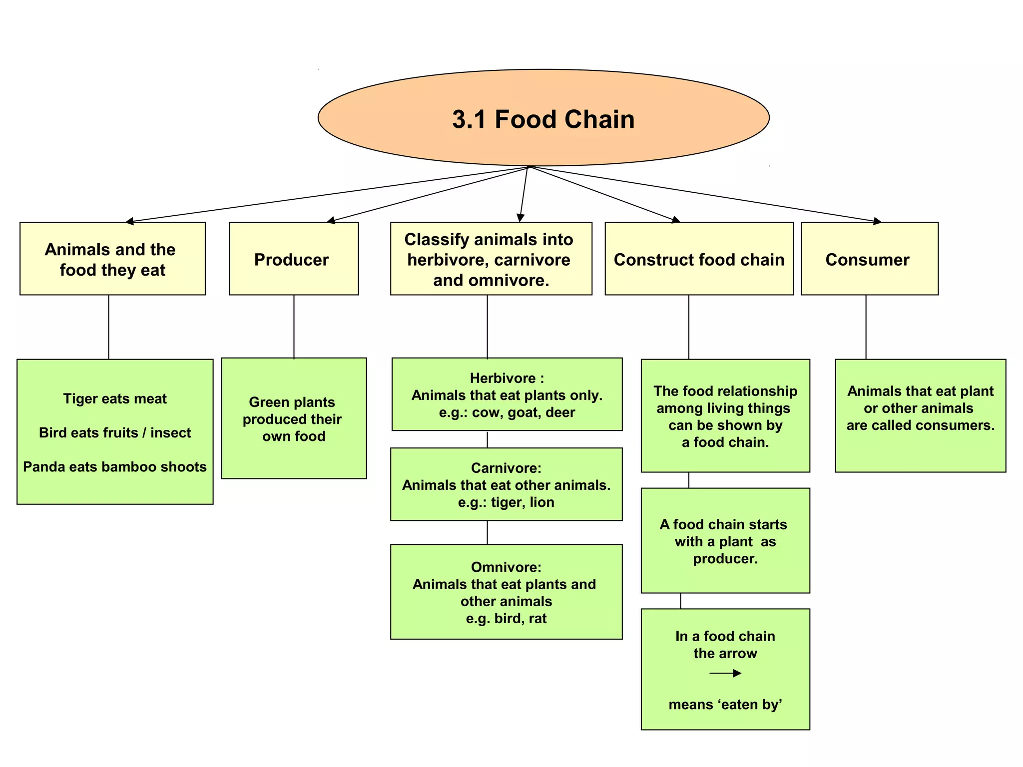 Mind map-for-science-year-5 | PPT
