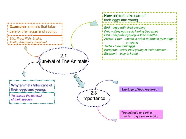 Mind map-for-science-year-5 | PPT