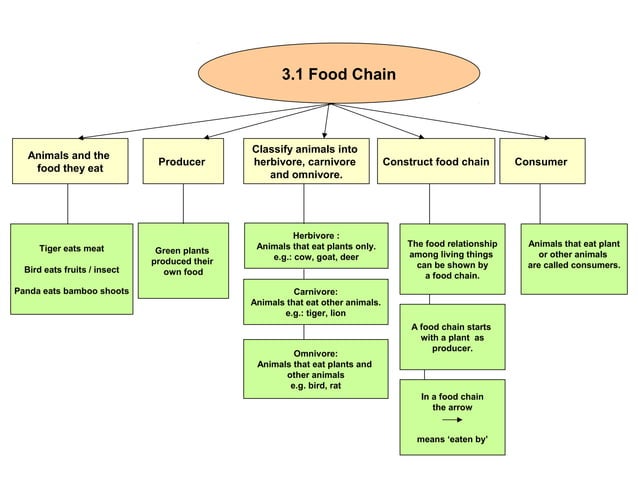 Mind map-for-science-year-5 | PPT