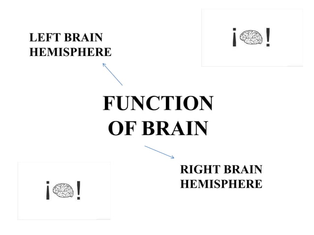 Mind map about function of brain | PPTX | Games and Puzzles | Hobbies ...