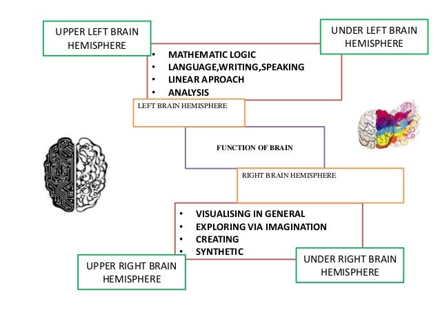 Mind map about function of brain