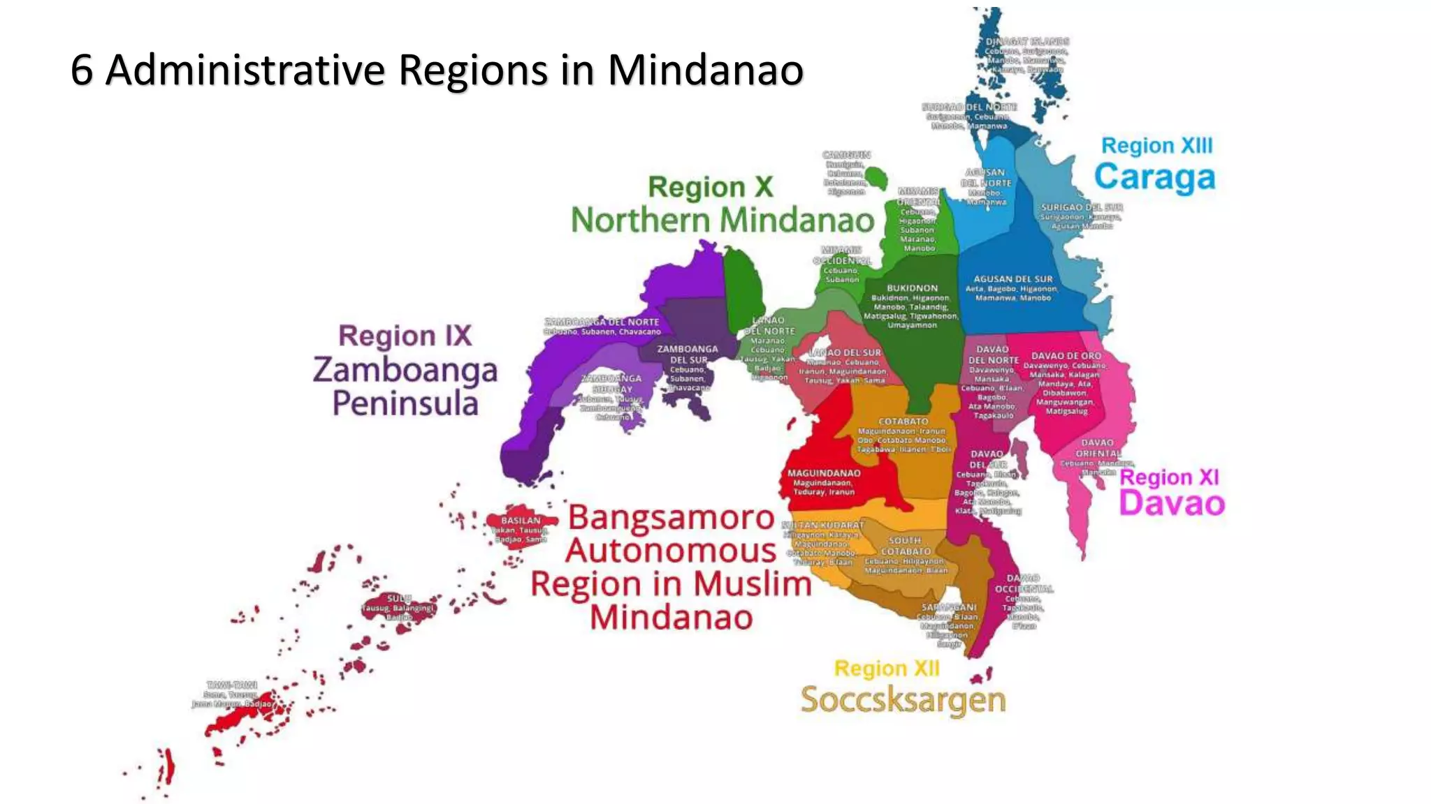 Mindanao Logistics and Distrbution.pptx