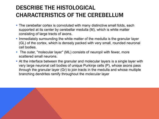 Mind Brain and Behavior | PPTX | Brain and Nervous System Disorders ...