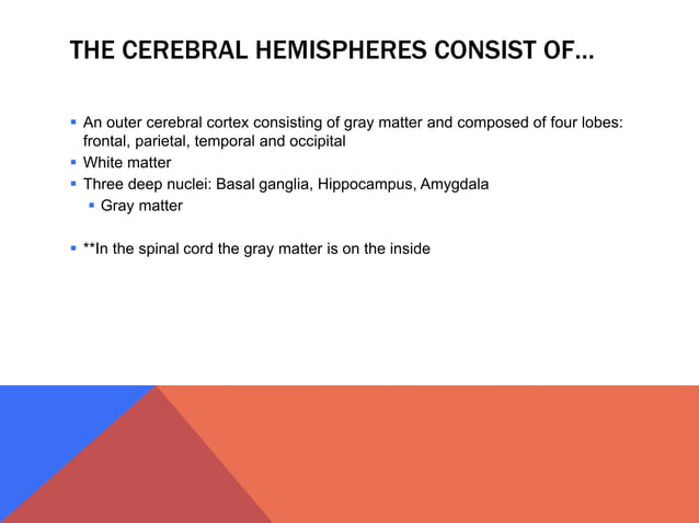 Mind Brain and Behavior | PPTX | Brain and Nervous System Disorders ...