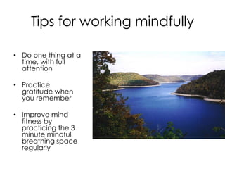 Mindfulness at a Corporate Organisation | PPT