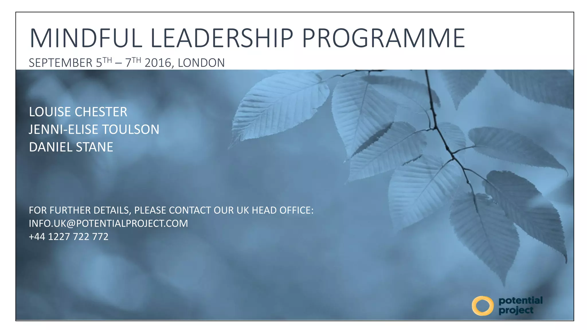 Mindful Leadership Program | PDF