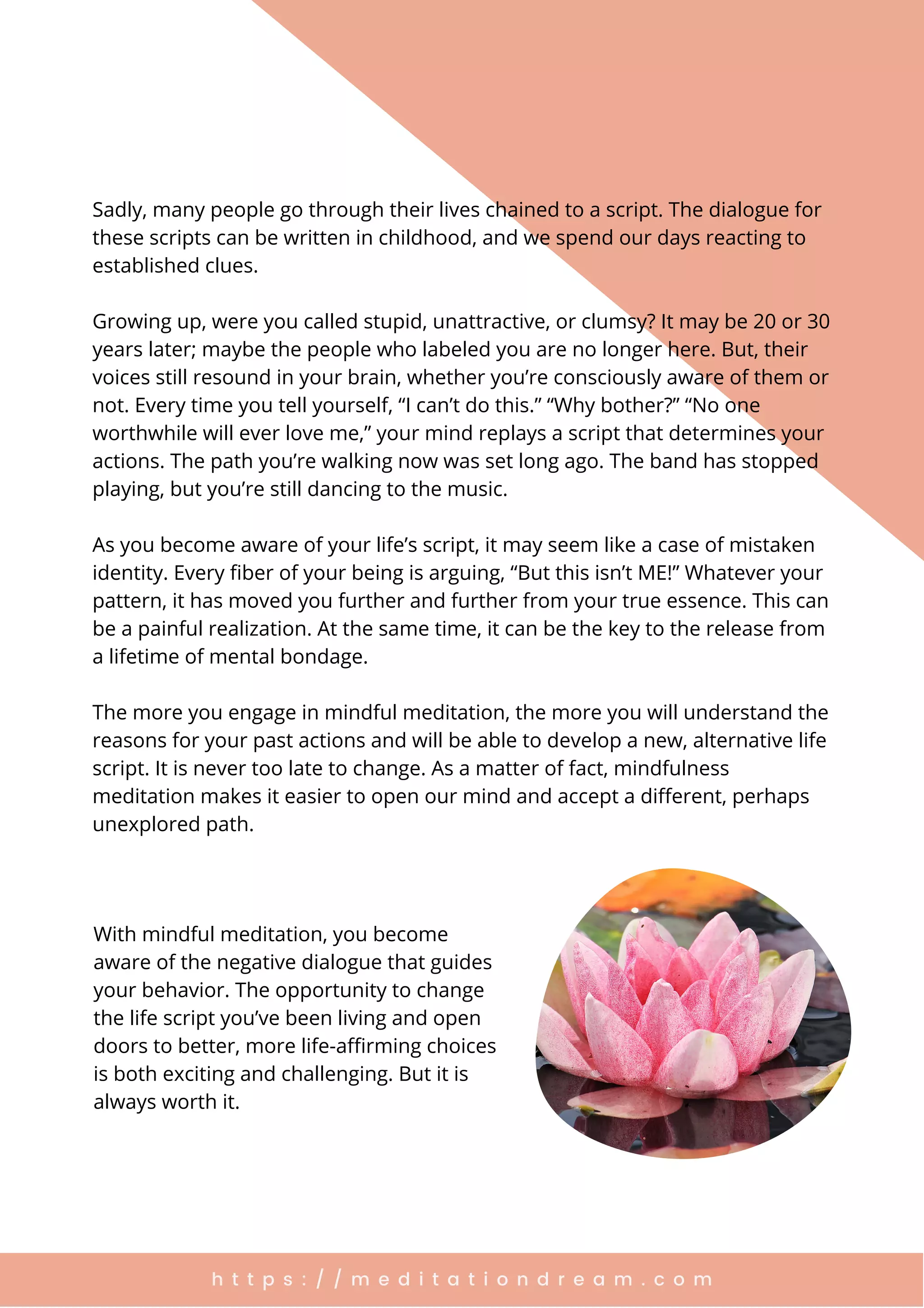 Mindful Meditation Mantra! | PDF