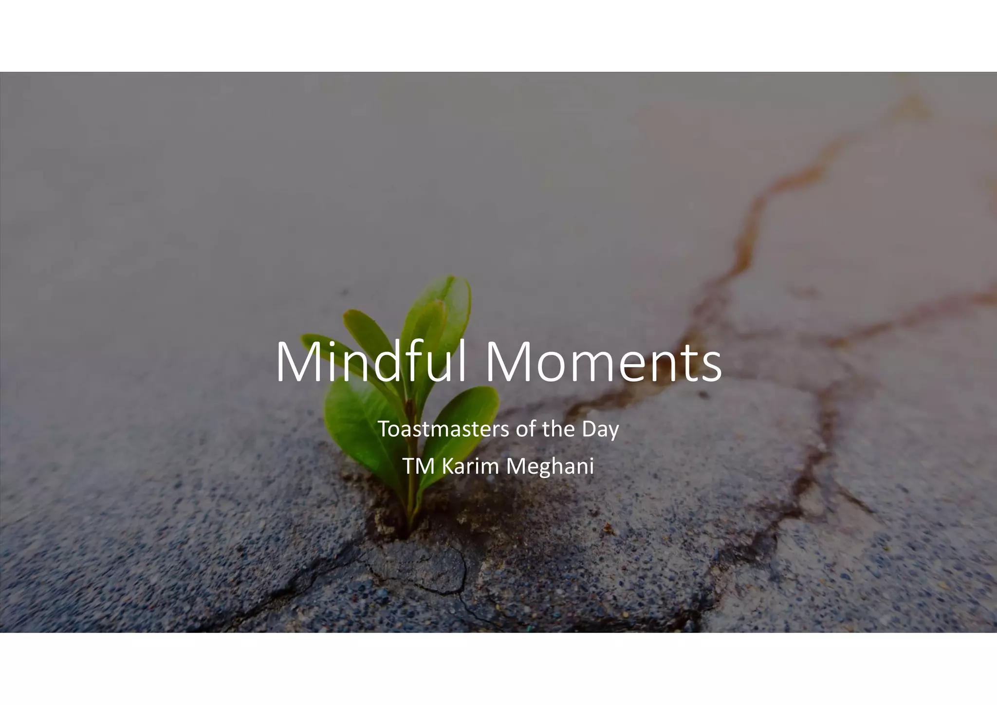 Mindful moments | PDF | Mental Health | Diseases and Conditions