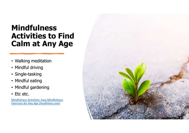 Mindful moments | PPT