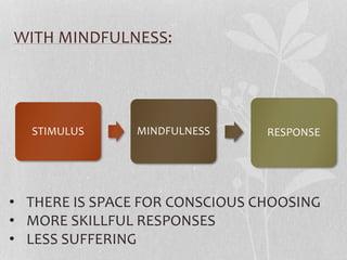 Mindfulness: The Power of Pausing | PPTX