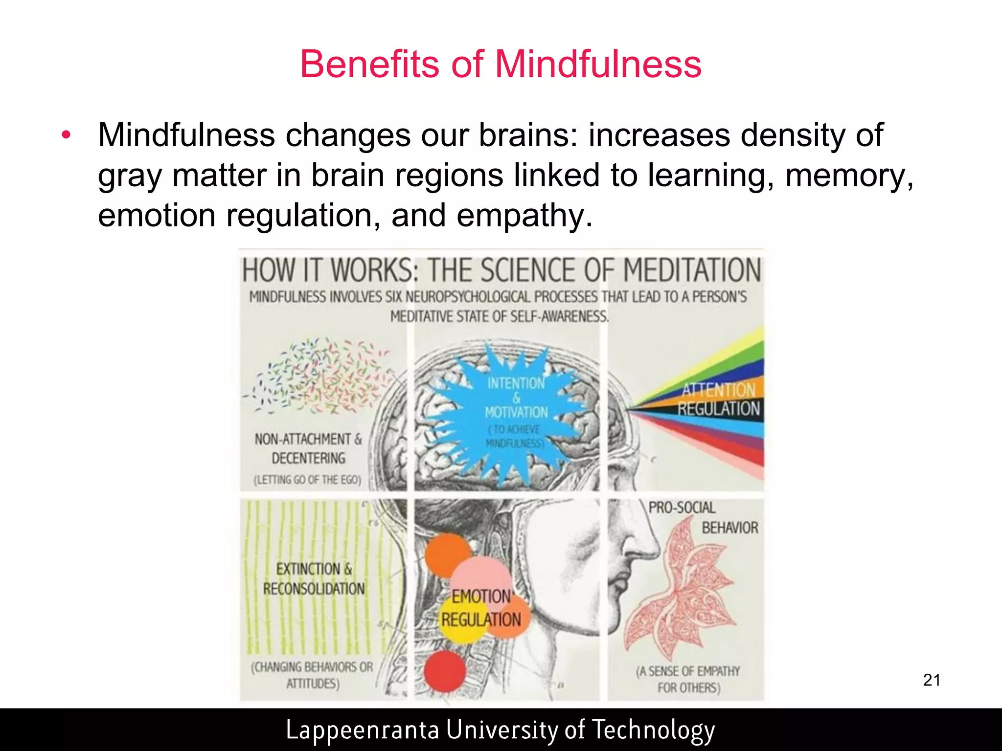 Introduction to Mindfulness | PDF | Brain and Nervous System Disorders ...
