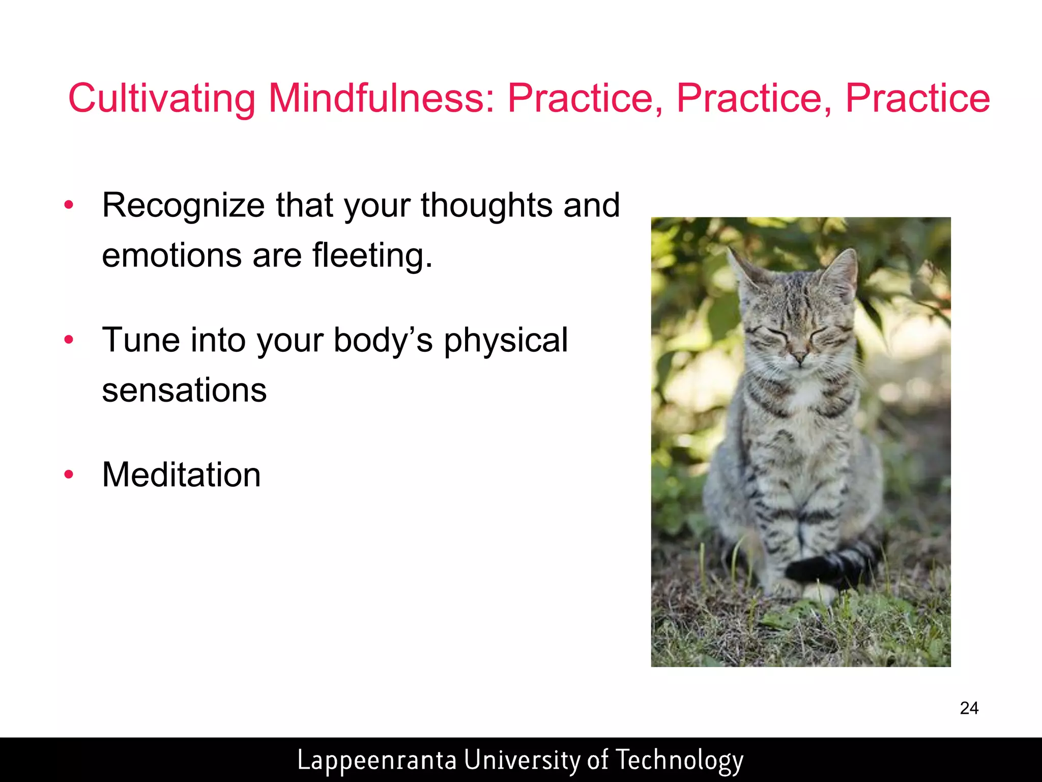 Introduction to Mindfulness | PDF