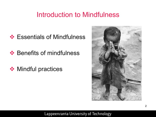Introduction to Mindfulness | PDF | Brain and Nervous System Disorders | Diseases and Conditions