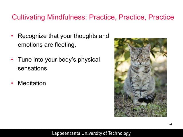 Introduction to Mindfulness | PDF | Brain and Nervous System Disorders ...