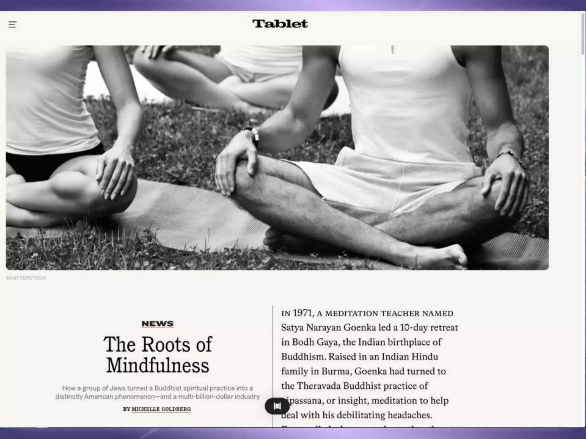 MINDLESS about MINDFULNESS | PPT