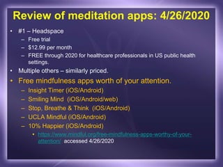 MINDLESS about MINDFULNESS | PPT