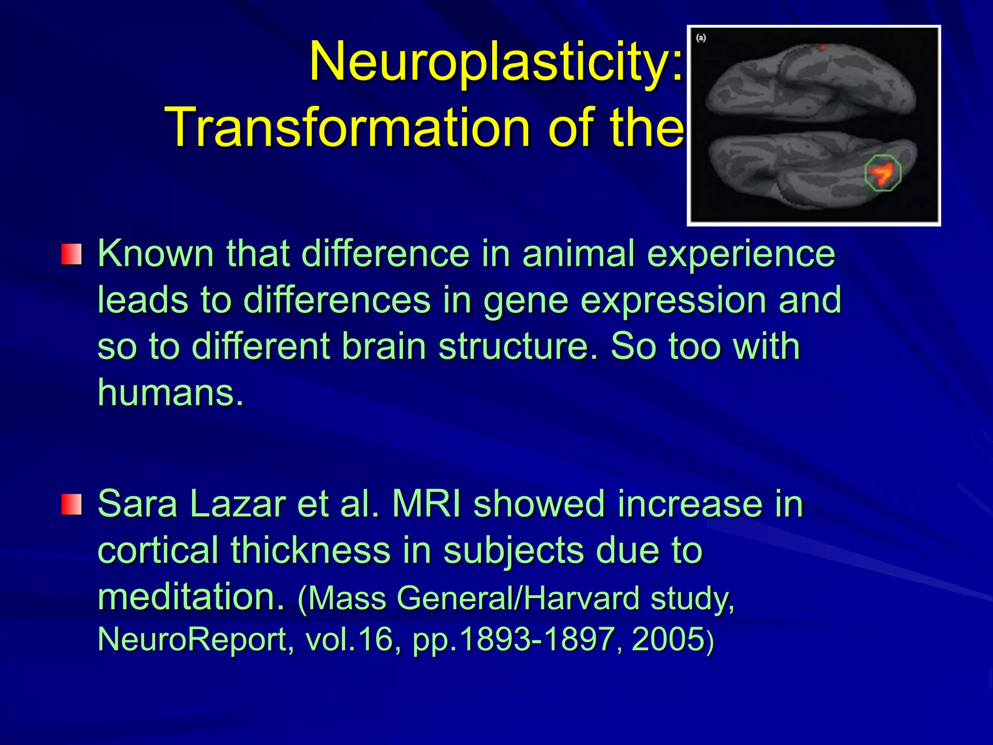Mental Training & Mastering the Art of Mindfulness | PPT