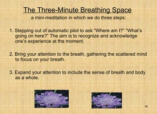 Mindfulness & Acceptance Powerpoint | PPT