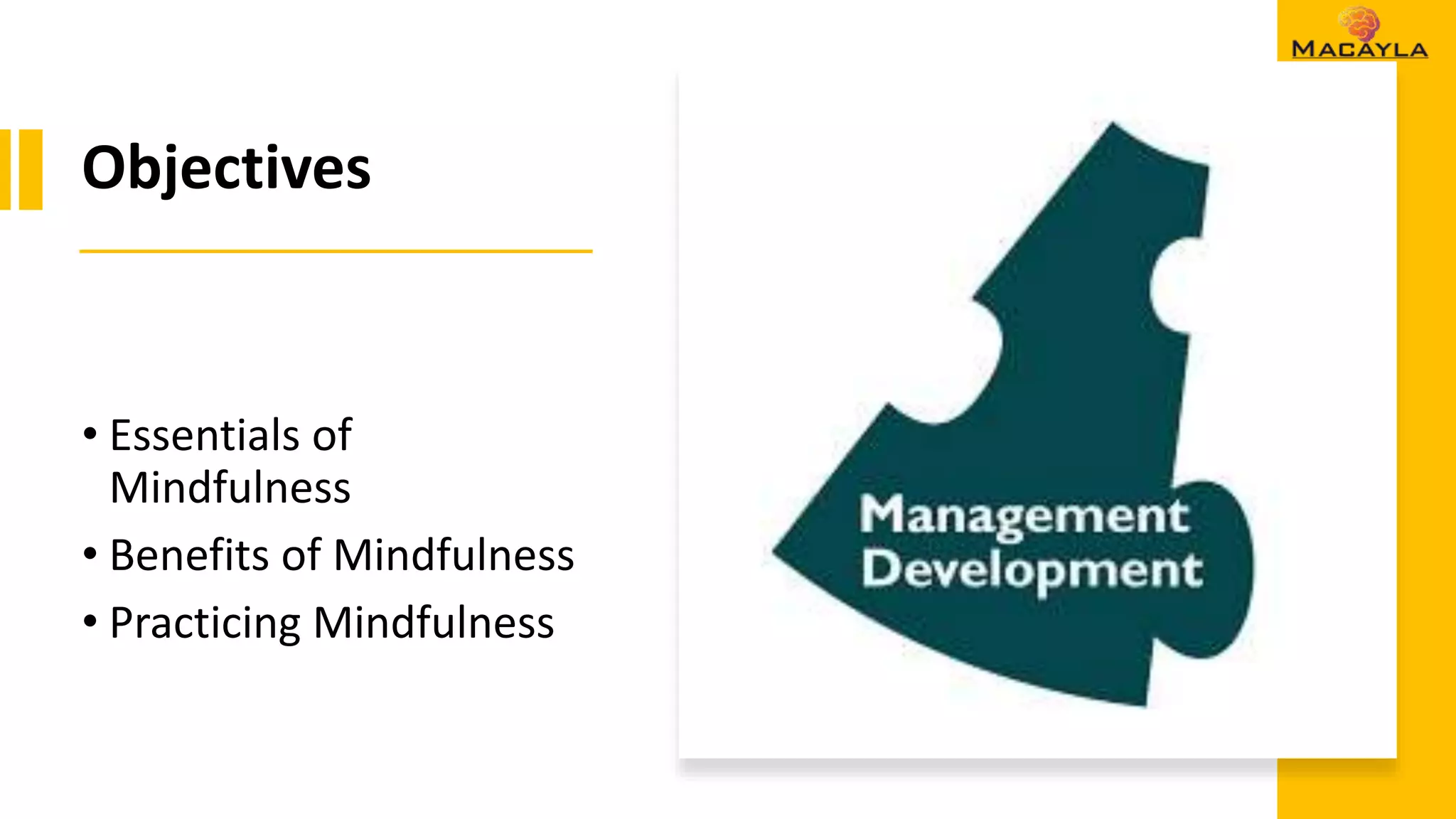 Mindfulness for College Students .pptx