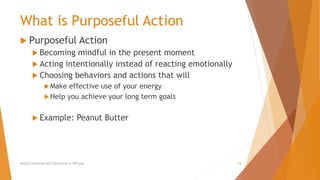 Mindfulness Overview | PPTX