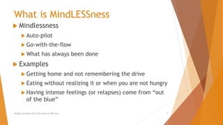 Mindfulness Overview | PPTX