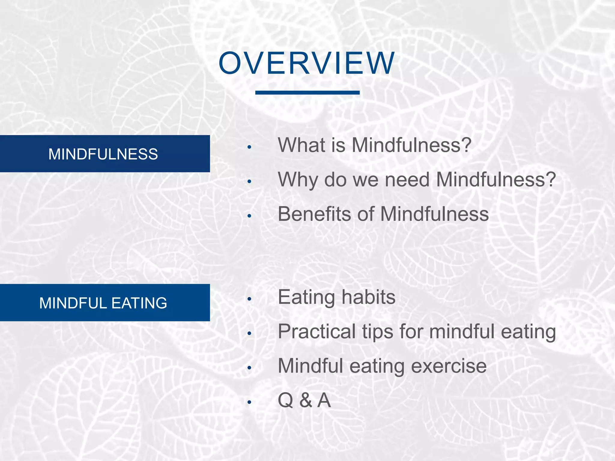 Mindfulness & Mindful Eating | PPTX
