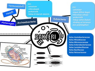 Mind map | PDF