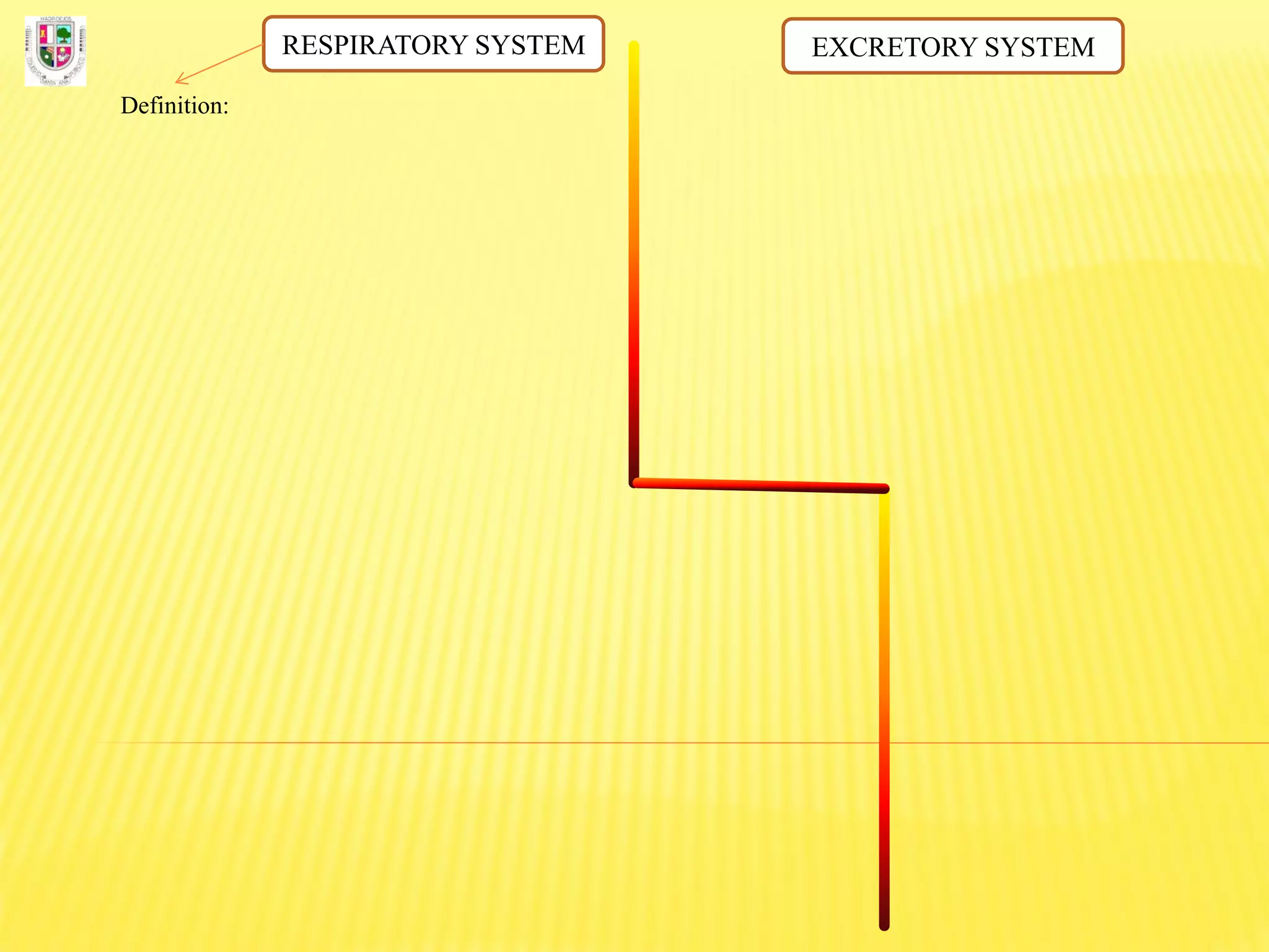Mindmap. RESPIRATORY & EXCRETORY SYSTEM | PDF