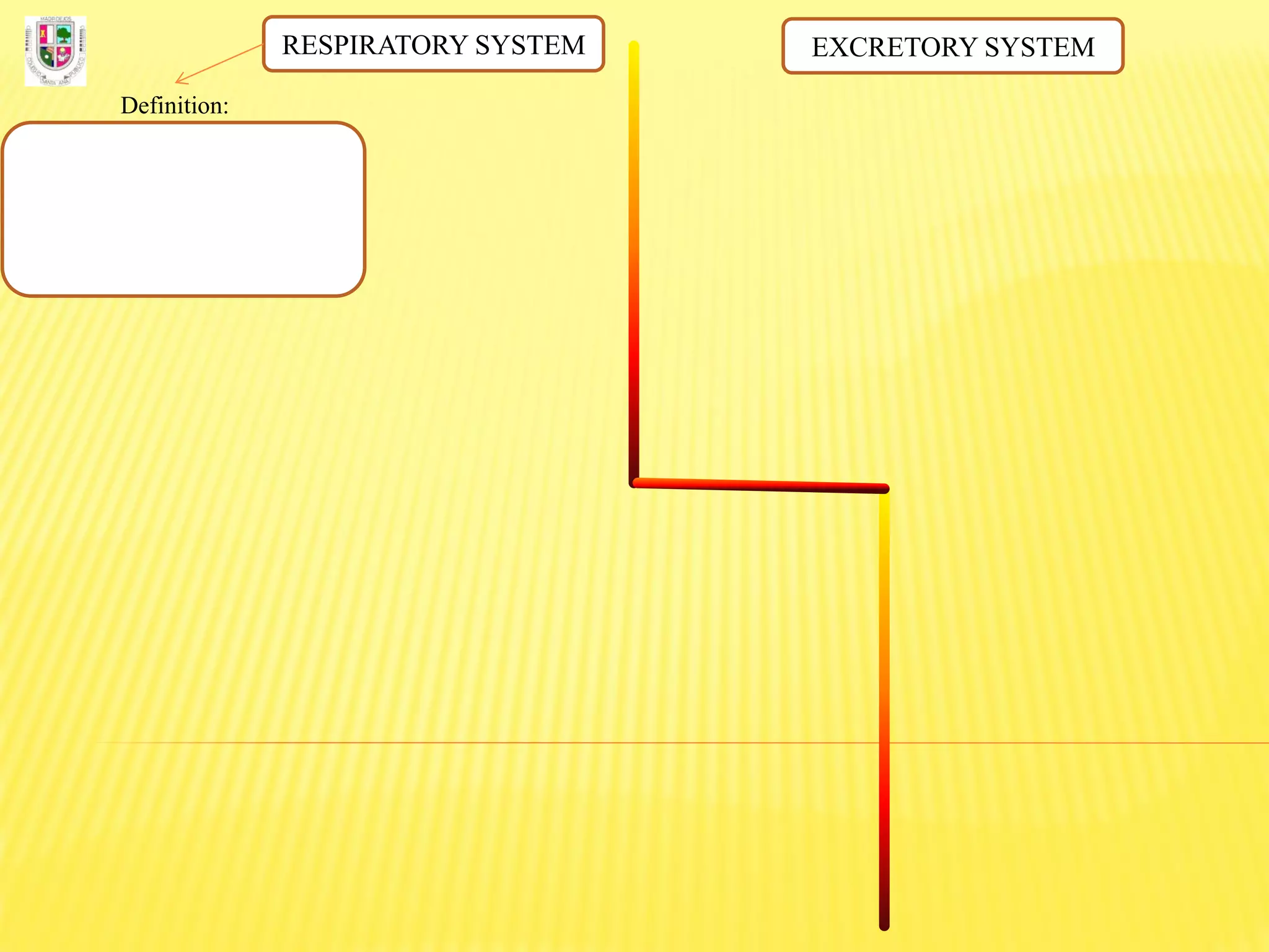 Mindmap. RESPIRATORY & EXCRETORY SYSTEM | PDF