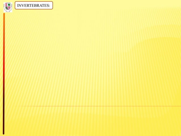 Mind map. invertebrates. | PDF | Pets