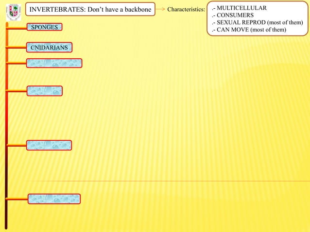 Mind map. invertebrates. | PDF | Pets