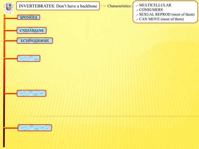 Mind map. invertebrates. | PDF | Pets