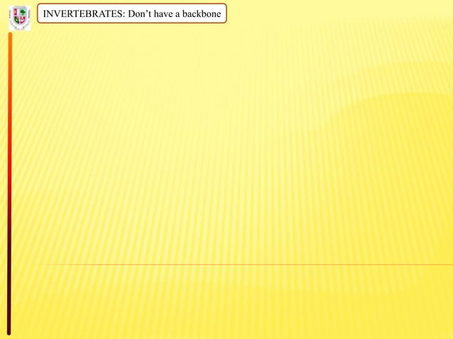 Mind map. invertebrates. | PDF | Pets