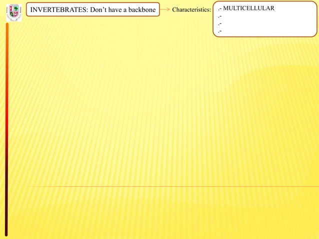 Mind map. invertebrates. | PDF | Pets