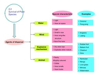 Mind map | PPT