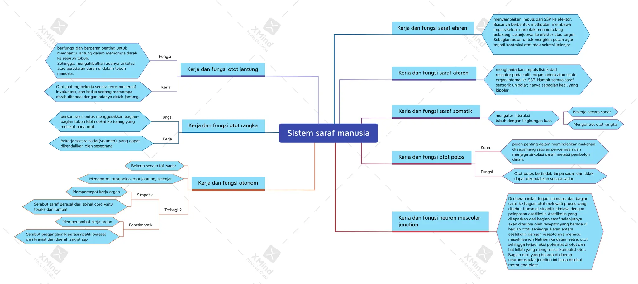Mind Map systems syaraff manusia.pdf