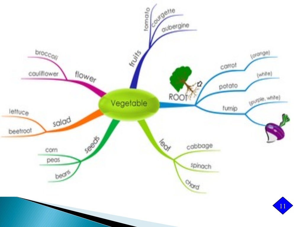 Mind Map Learning Styles