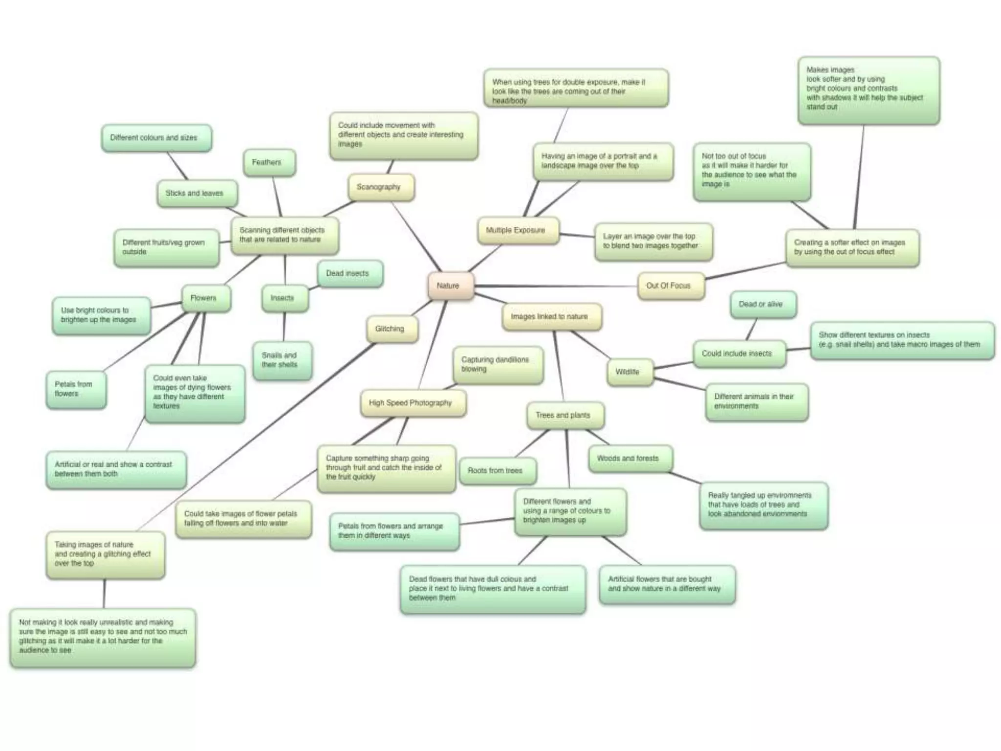 Mind Map and Mood Board | PPT