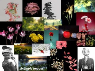 Mind Map and Mood Board | PPTX
