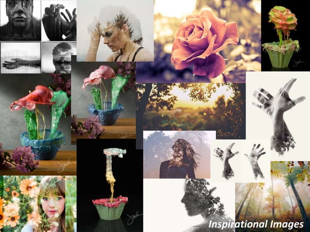 Mind Map and Mood Board | PPT