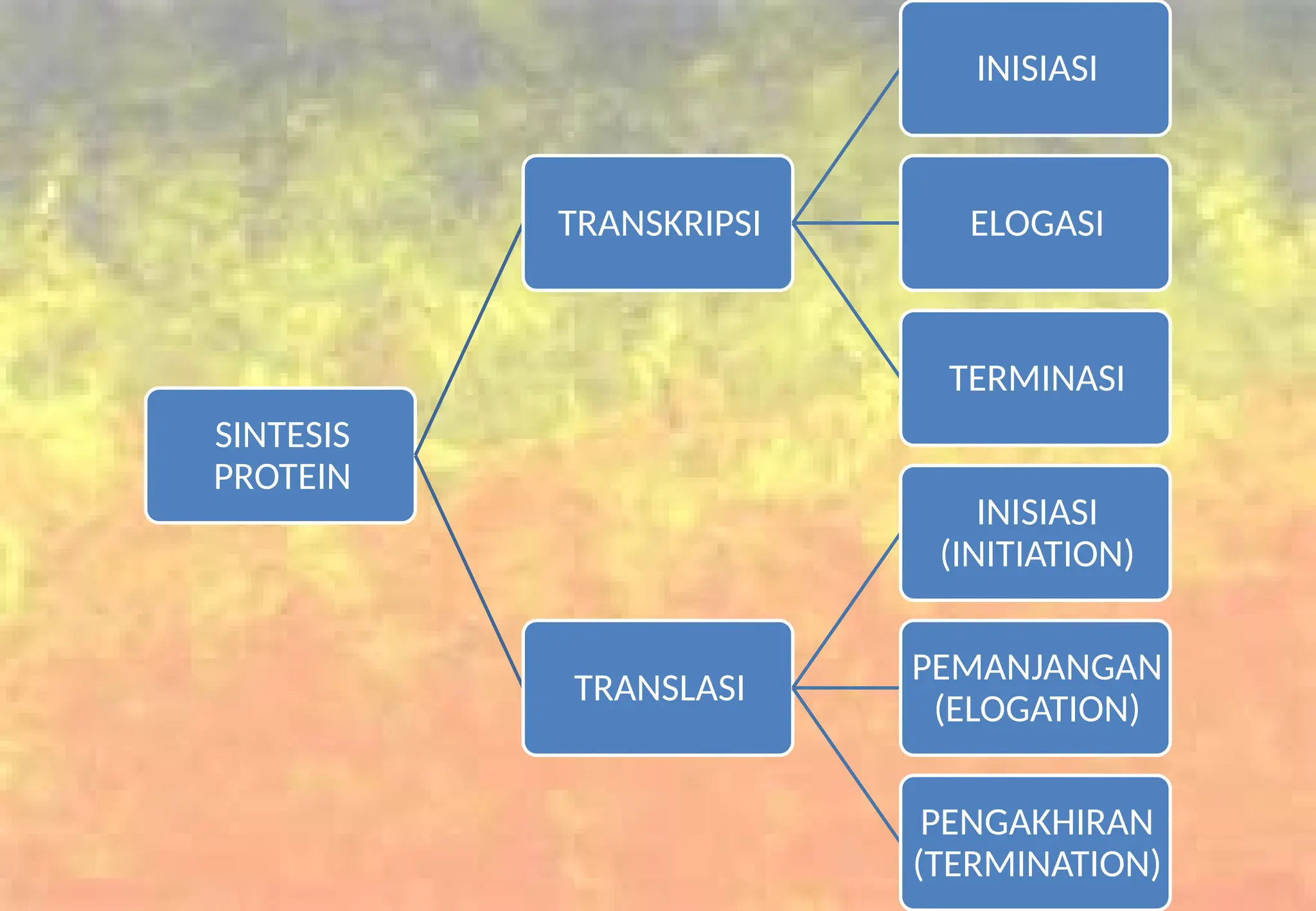 MIND MAPPING BIOLOGI SEL MOLEKULER..pptx