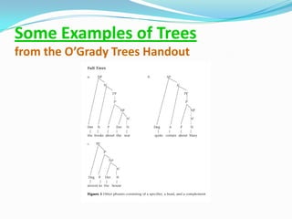 Mind map esl 502 | PPT