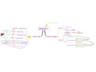 Mind Mapping for Pharmacy Education and Practice | PPT