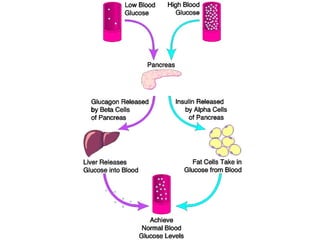 Mind Mapping for Pharmacy Education and Practice | PPT