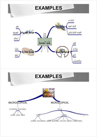 MindMapping.pdf