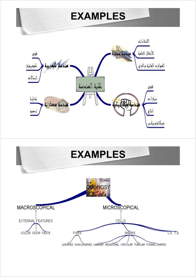 MindMapping.pdf | Science