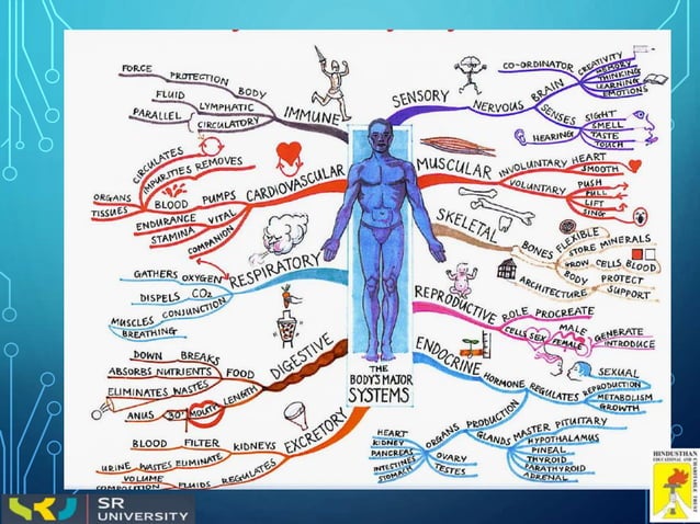 Mind mapping - learning tool | PPT