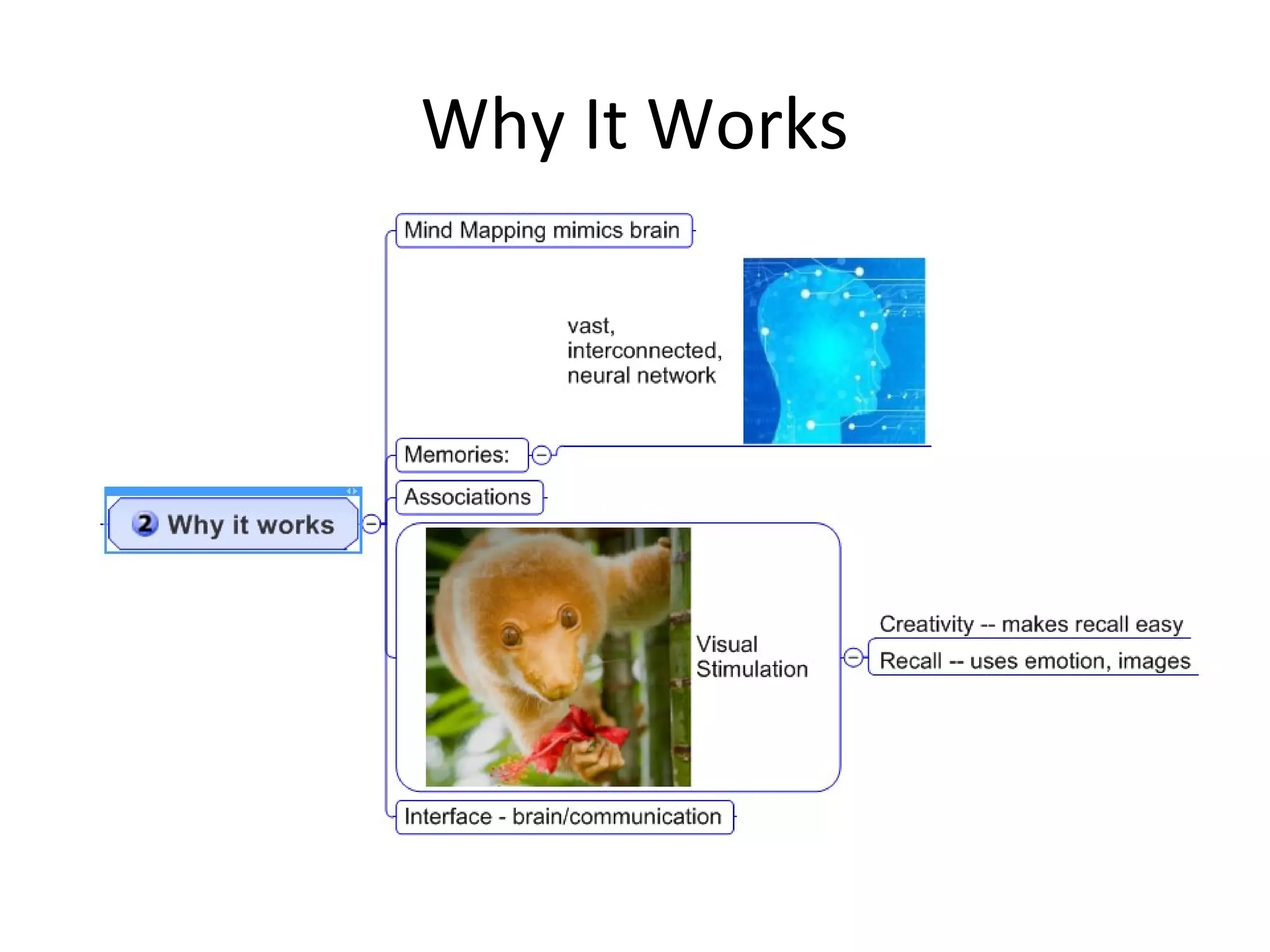 Mind Mapping Roadmap Presentation | PPT