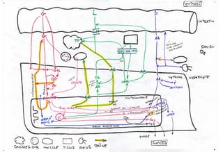 Mind maps biochemistry fuel metabolism and nutrition | PDF
